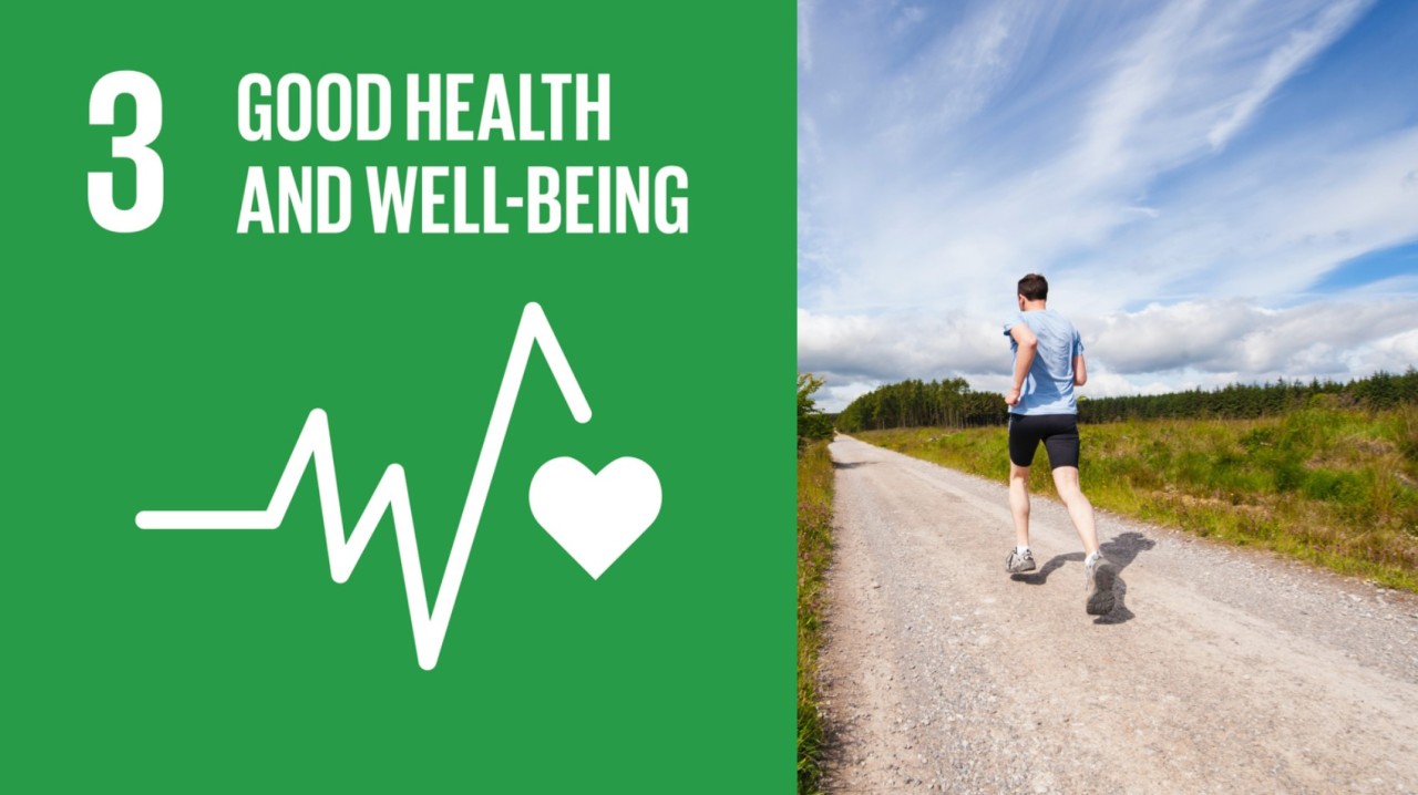 SDG 3 - Good Health and Well Being. UN Sustainable Development Goals. SDG 3 - Good Health and Well Being. UN Sustainable Development Goals.