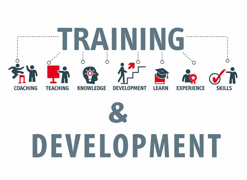 The Importance of Training and Development in the Workplace The Importance of Training and Development in the Workplace