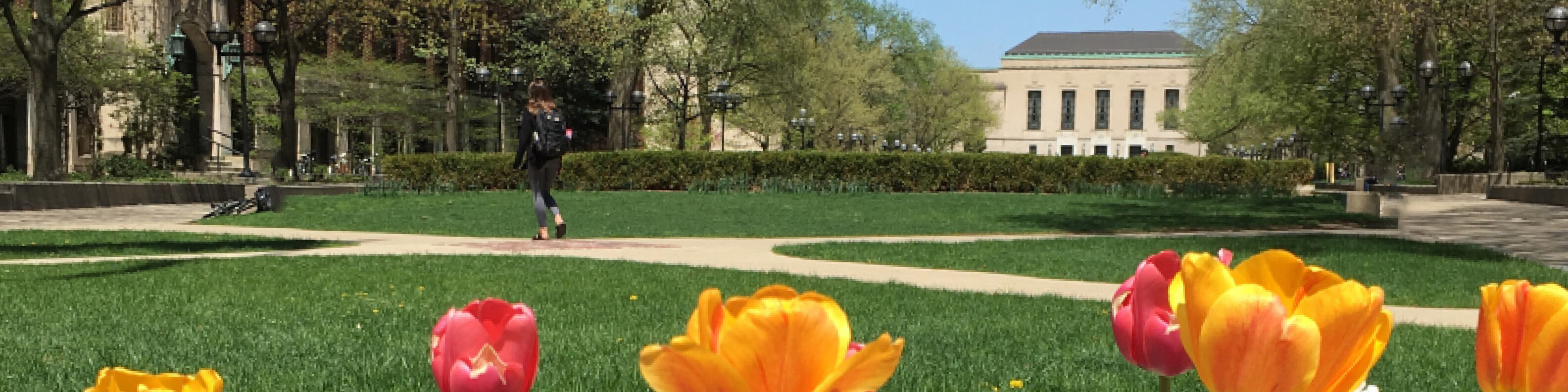 University of Michigan - Rackham Graduate School Employees, Location ... University of Michigan - Rackham Graduate School Employees, Location ...