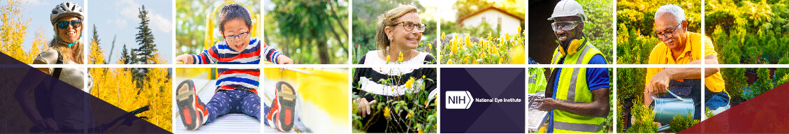 National Eye Institute (NEI) | LinkedIn National Eye Institute (NEI) | LinkedIn