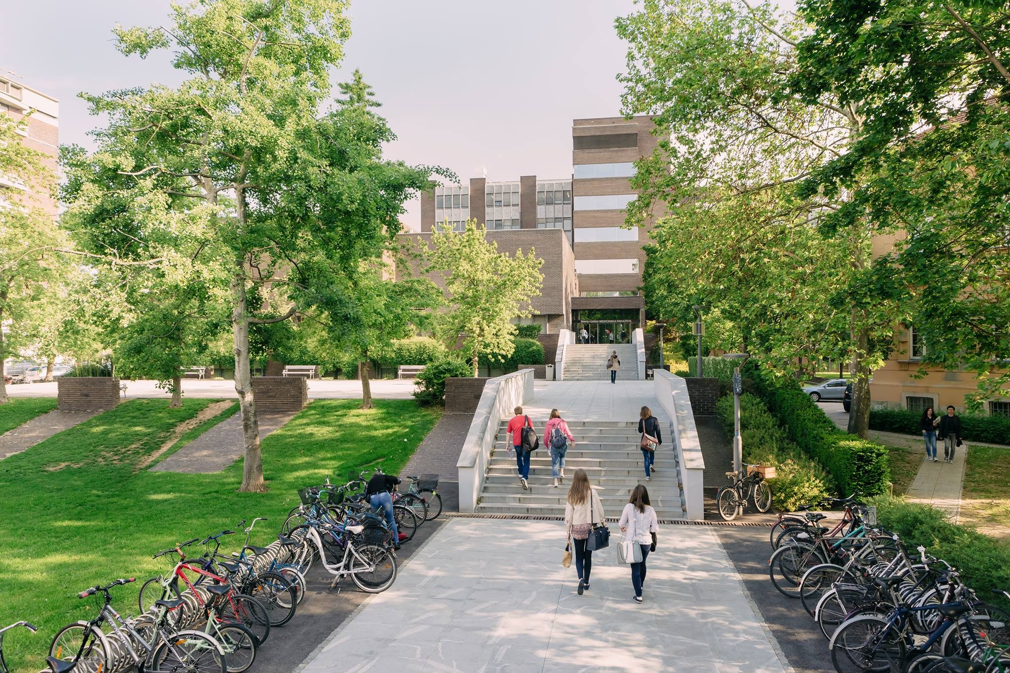 Faculty of Medicine, University of Ljubljana | LinkedIn Faculty of Medicine, University of Ljubljana | LinkedIn