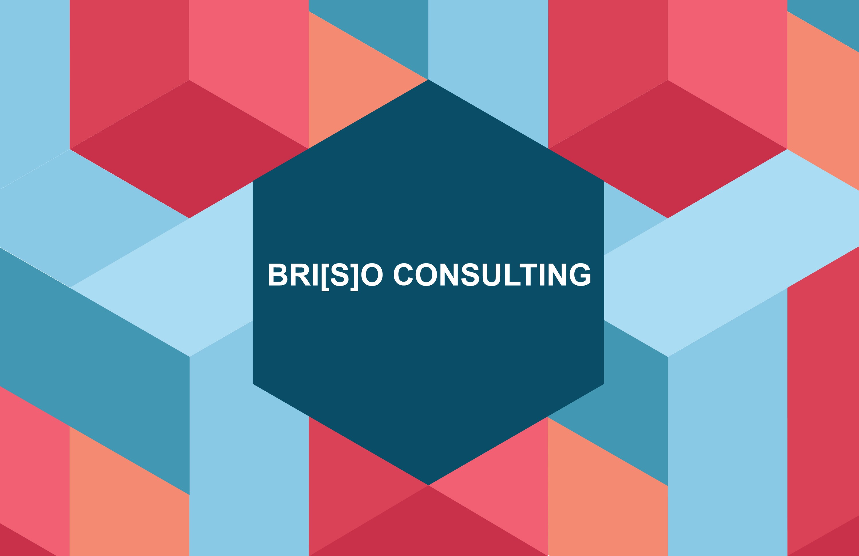 BRIZO Consulting Deutschland GmbH | LinkedIn BRIZO Consulting Deutschland GmbH | LinkedIn