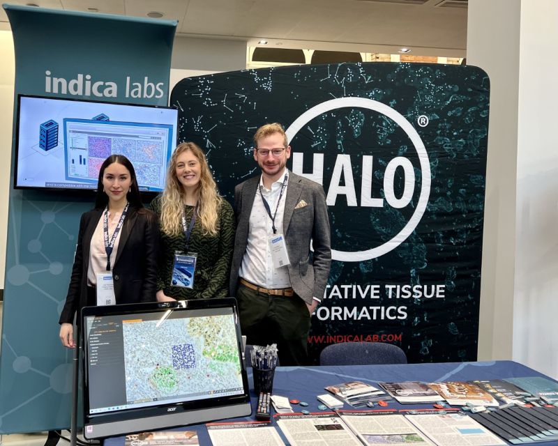 Indica Labs on LinkedIn: #IndicaLabs #HALOimageanalysis #HALOai Indica Labs on LinkedIn: #IndicaLabs #HALOimageanalysis #HALOai