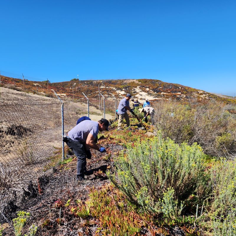 Bolsa Chica Conservancy on LinkedIn: Yesterday, Bolsa Chica Conservancy ... Bolsa Chica Conservancy on LinkedIn: Yesterday, Bolsa Chica Conservancy ...