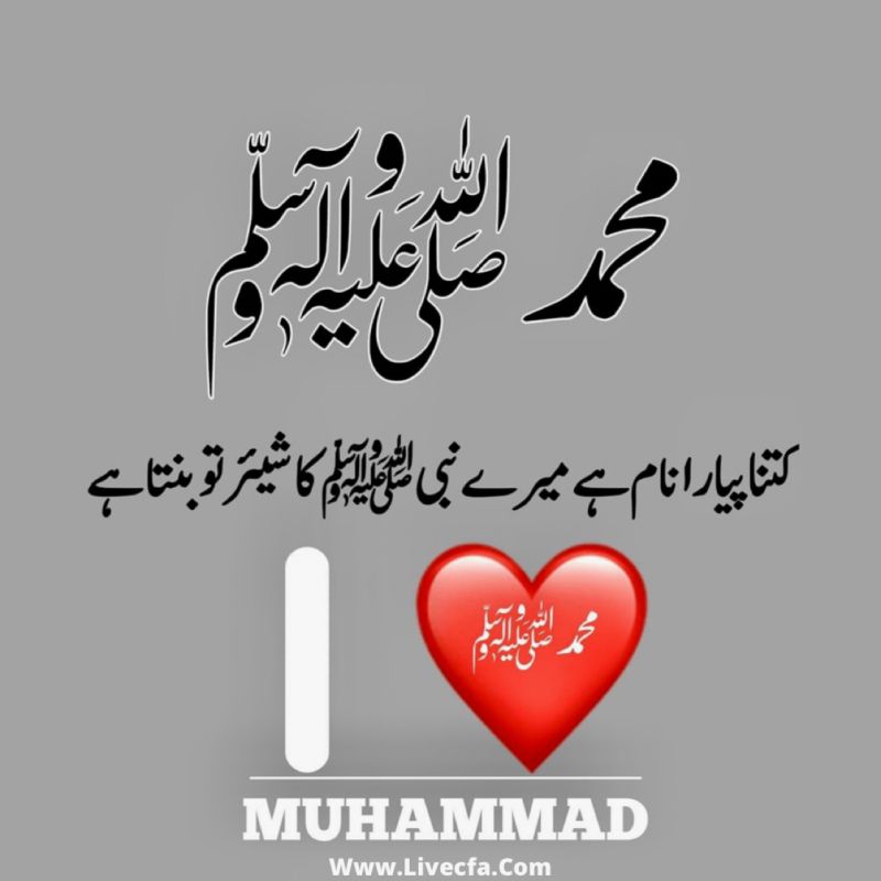 MUHAMMAD WAQAS posted on LinkedIn MUHAMMAD WAQAS posted on LinkedIn