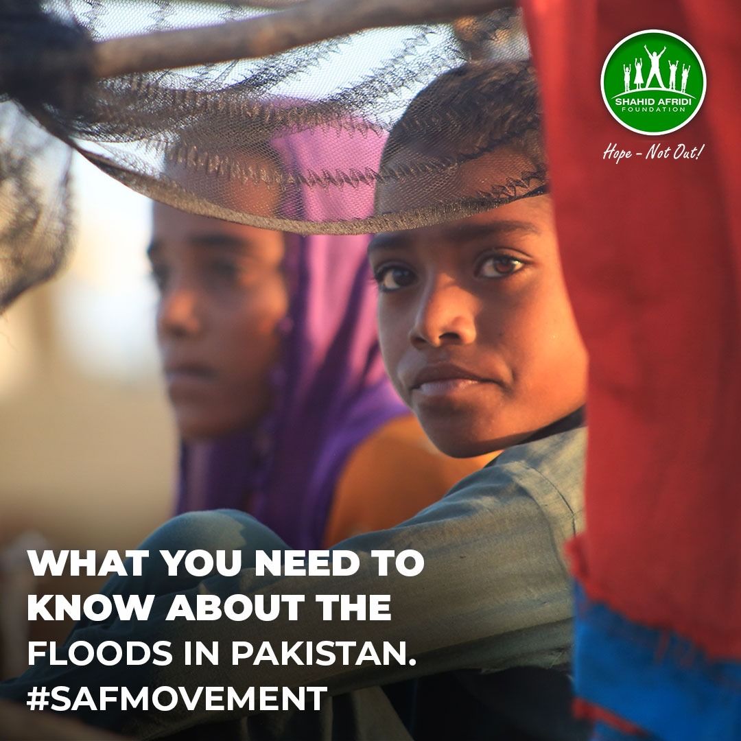 Saima Khan on LinkedIn: #hopenotout Saima Khan on LinkedIn: #hopenotout