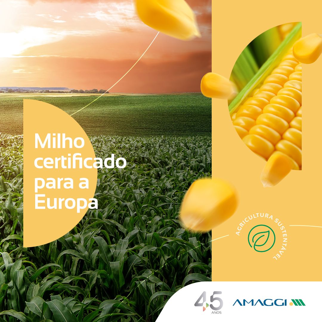 Amaggi on LinkedIn: #amaggi #agro #esg Amaggi on LinkedIn: #amaggi #agro #esg