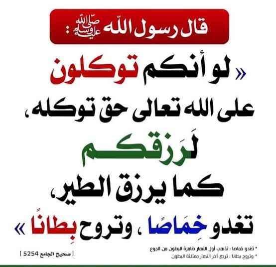 Ahmed Ali on LinkedIn: Ahmed Ali on LinkedIn: