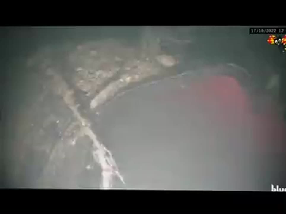 Anuj Sharma on LinkedIn: The Underwater video of “Nord Stream ... Anuj Sharma on LinkedIn: The Underwater video of “Nord Stream ...