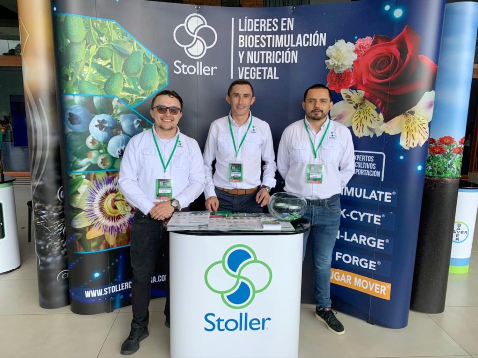 Henry Camilo Martínez Amortegui on LinkedIn: #STOLLERMÁSCONOCIMIENTO Henry Camilo Martínez Amortegui on LinkedIn: #STOLLERMÁSCONOCIMIENTO