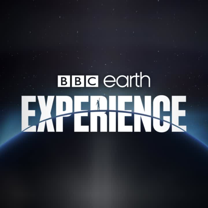 BBC Studios on LinkedIn: BBC Studios: BBC Earth Experience BBC Studios on LinkedIn: BBC Studios: BBC Earth Experience