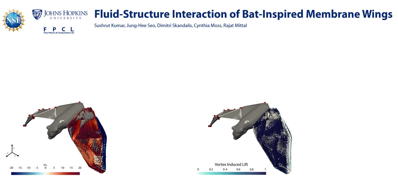 Julio Isaac Montenegro Gambini op LinkedIn: Simulating bat flight is ... Julio Isaac Montenegro Gambini op LinkedIn: Simulating bat flight is ...