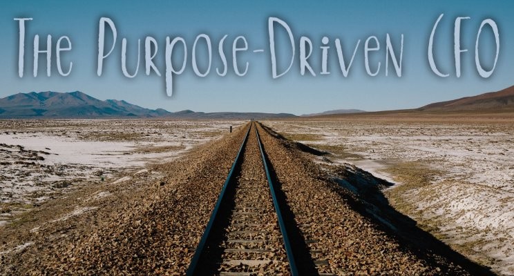 Developing Finance Business Partnering (The Purpose-Driven CFO Part 9) Developing Finance Business Partnering (The Purpose-Driven CFO Part 9)