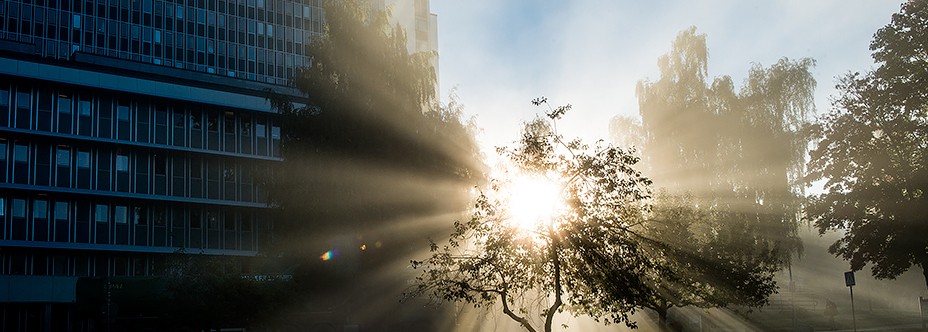 Danderyds Sjukhus AB | LinkedIn Danderyds Sjukhus AB | LinkedIn