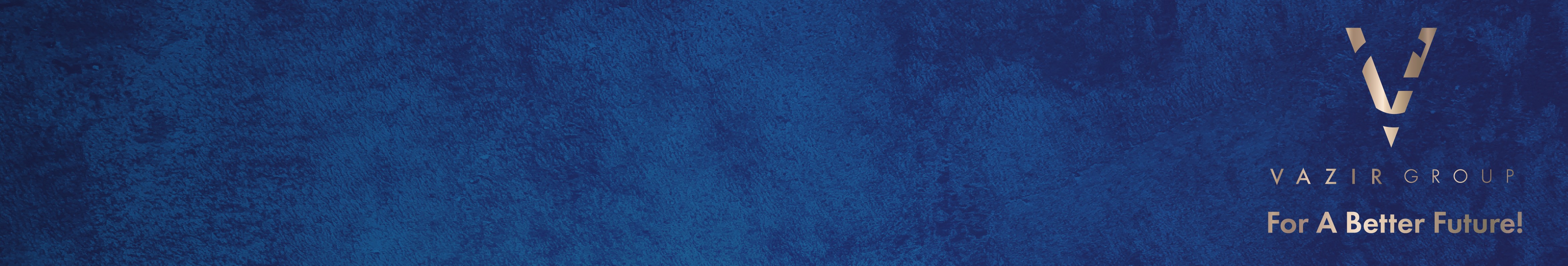 Vazir Group | LinkedIn Vazir Group | LinkedIn