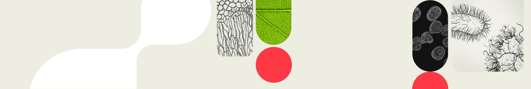 Senda Biosciences | LinkedIn Senda Biosciences | LinkedIn