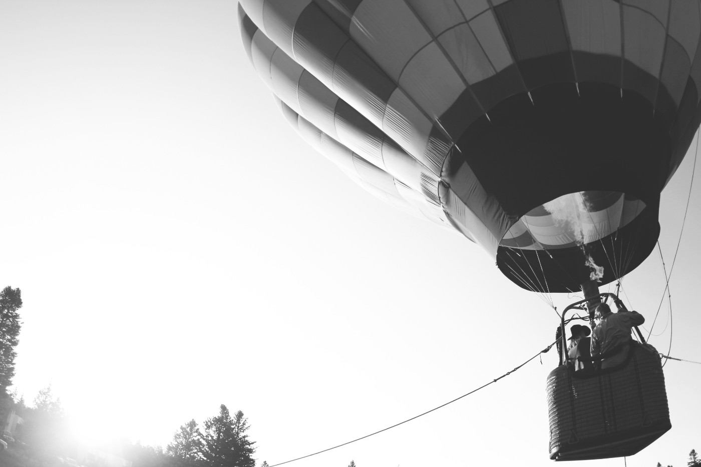 Lutz | LinkedIn Lutz | LinkedIn