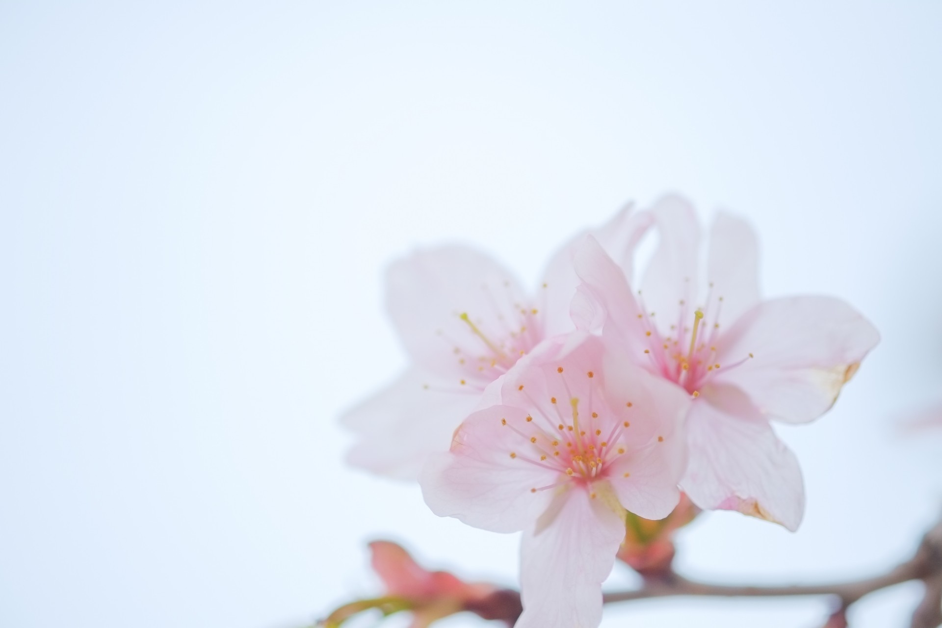 The Japan Foundation New York and Center for Global Partnership (CGP ... The Japan Foundation New York and Center for Global Partnership (CGP ...