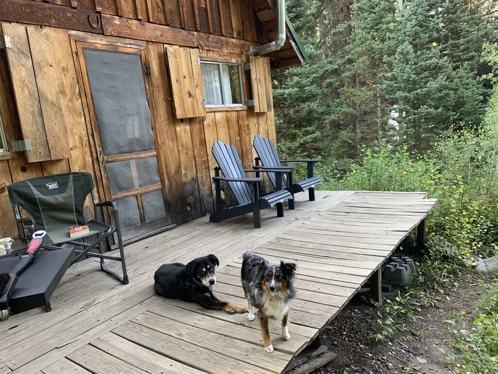 Kalamaya | Goscha on LinkedIn: Meet Kalamaya | Goscha Dog(s) of the ... Kalamaya | Goscha on LinkedIn: Meet Kalamaya | Goscha Dog(s) of the ...