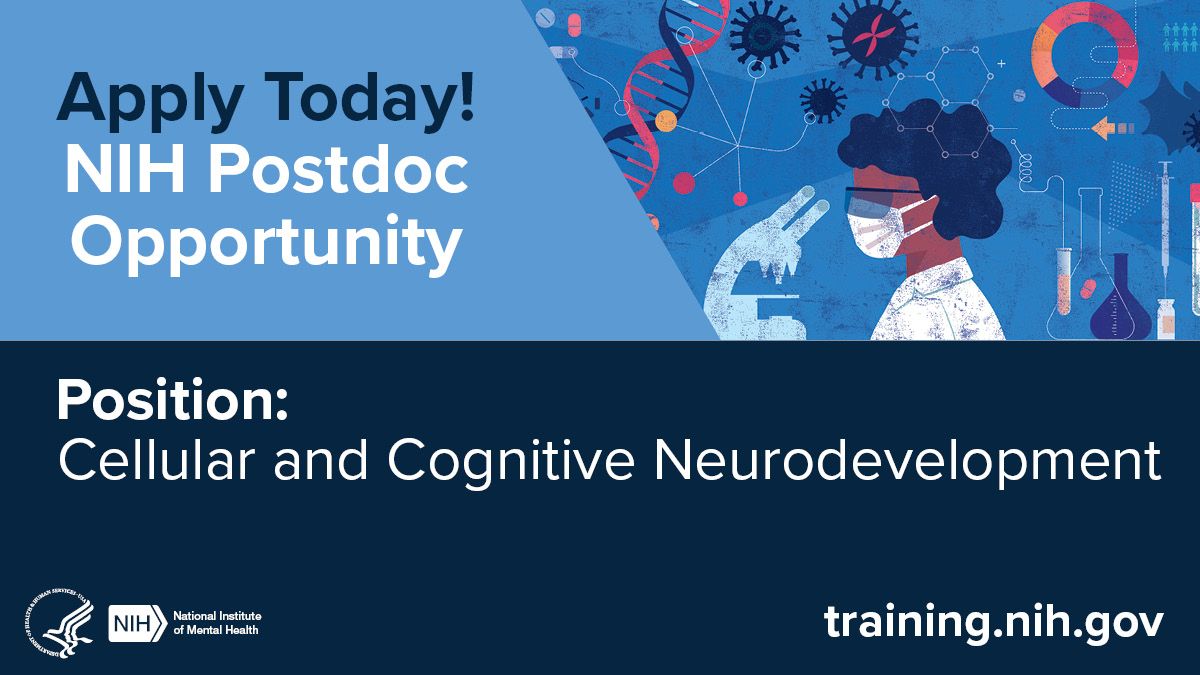 National Institute of Mental Health (NIMH) en LinkedIn: Cellular and ... National Institute of Mental Health (NIMH) en LinkedIn: Cellular and ...