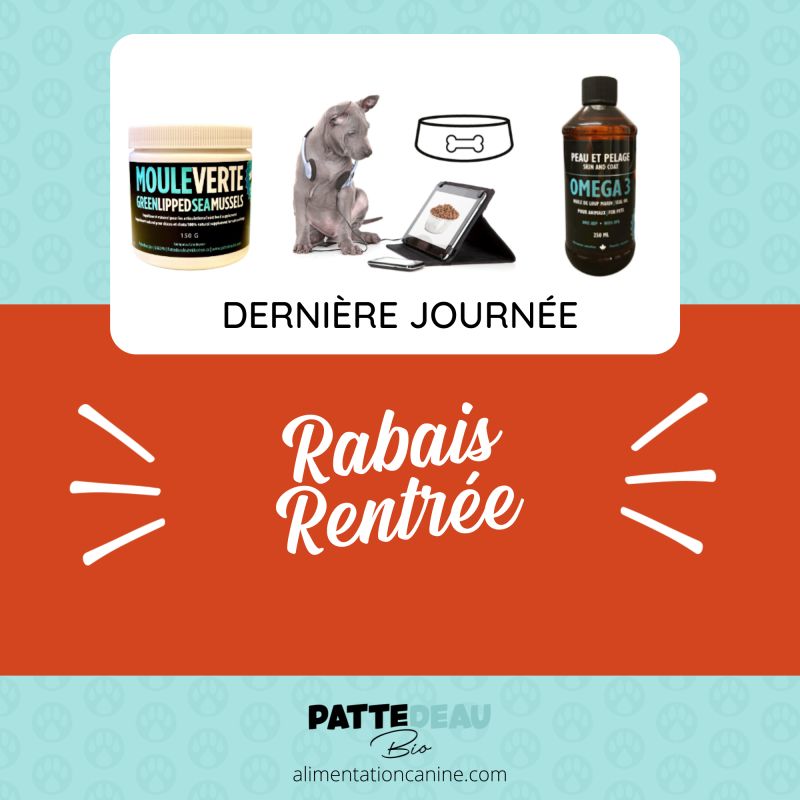 Karine Simard, Agr. M. Sc on LinkedIn: Comment se passe la rentrée? Pas ... Karine Simard, Agr. M. Sc on LinkedIn: Comment se passe la rentrée? Pas ...
