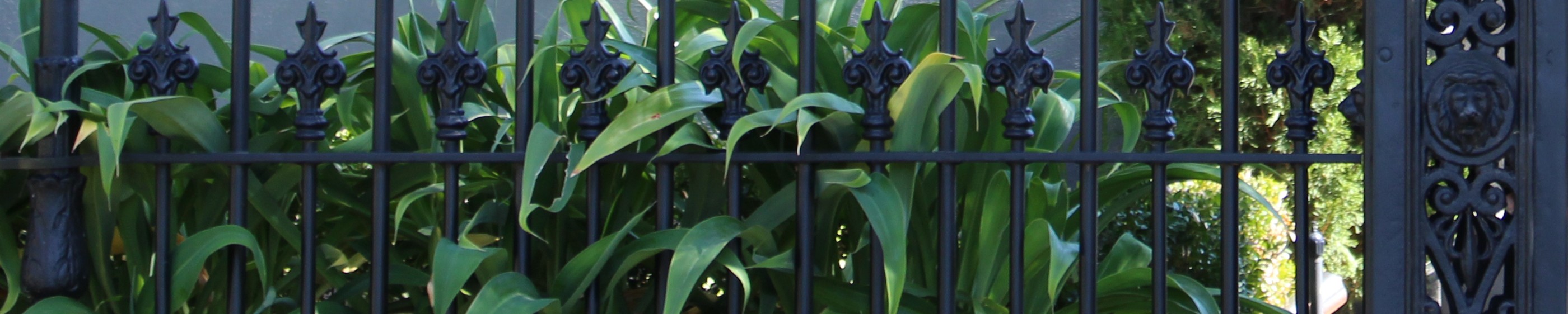 Wakelin Property Advisory | LinkedIn Wakelin Property Advisory | LinkedIn