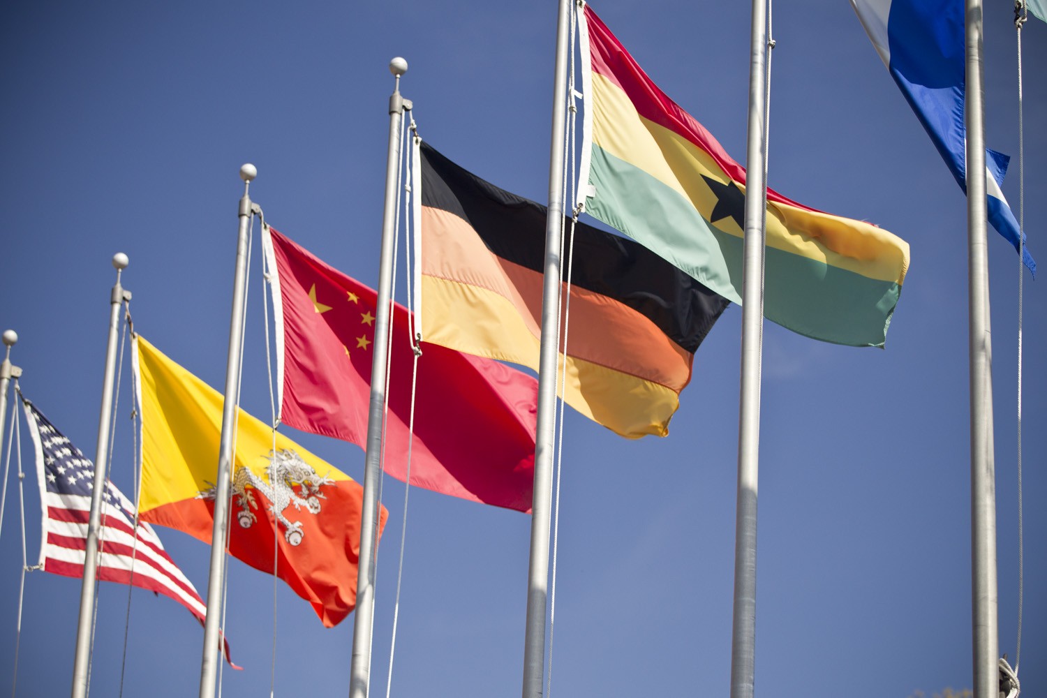 Brandeis International Business School | LinkedIn Brandeis International Business School | LinkedIn
