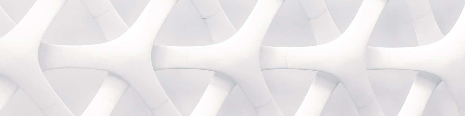 Bristlecone | LinkedIn Bristlecone | LinkedIn