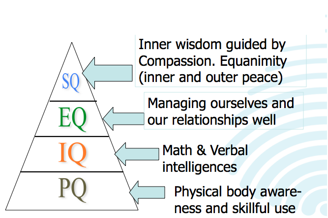 Leadership Intelligence : EQ, IQ, PQ, SQ, AQ & CQ Leadership Intelligence : EQ, IQ, PQ, SQ, AQ & CQ