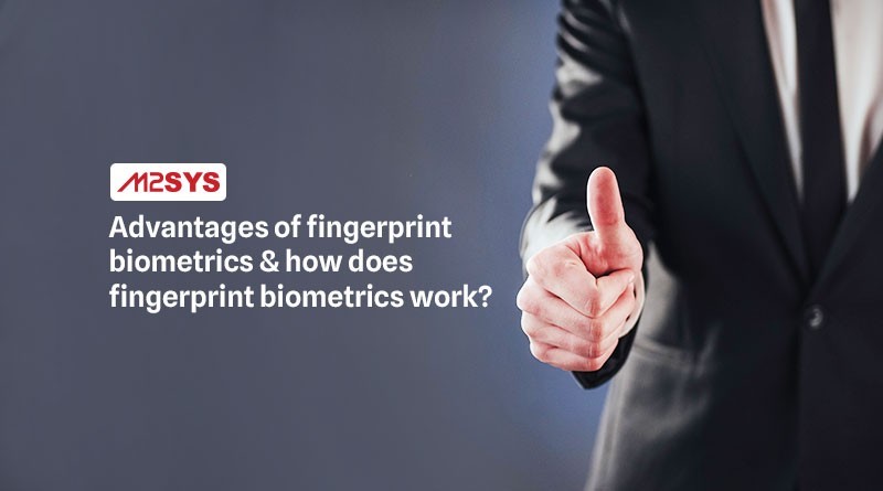 Advantages of fingerprint biometrics & how does fingerprint biometrics ... Advantages of fingerprint biometrics & how does fingerprint biometrics ...