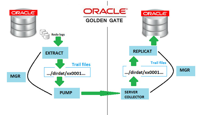 Oracle GoldenGate - migrate on prem & in the cloud Oracle GoldenGate - migrate on prem & in the cloud