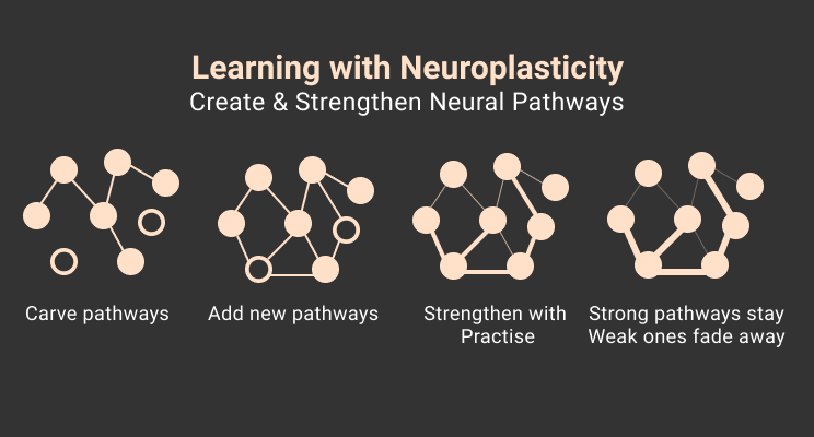 Learning - Create & Strengthen Neural Pathways Learning - Create & Strengthen Neural Pathways