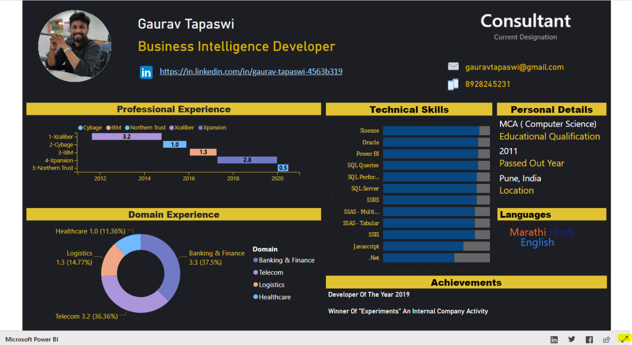 Interactive Resume Template Using Power BI Interactive Resume Template Using Power BI