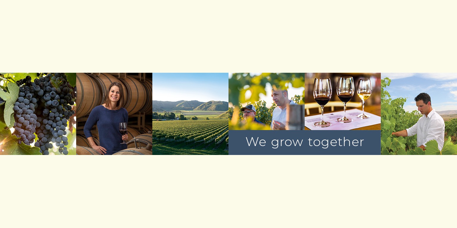 Ste. Michelle Wine Estates | LinkedIn Ste. Michelle Wine Estates | LinkedIn