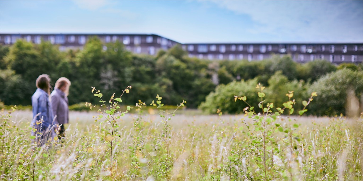 Novozymes: Vagas | LinkedIn Novozymes: Vagas | LinkedIn