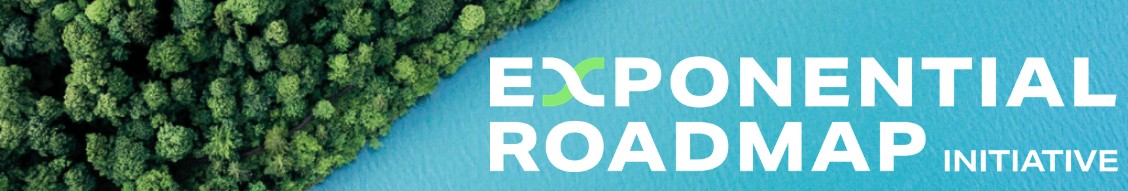 Exponential Roadmap Initiative | LinkedIn Exponential Roadmap Initiative | LinkedIn