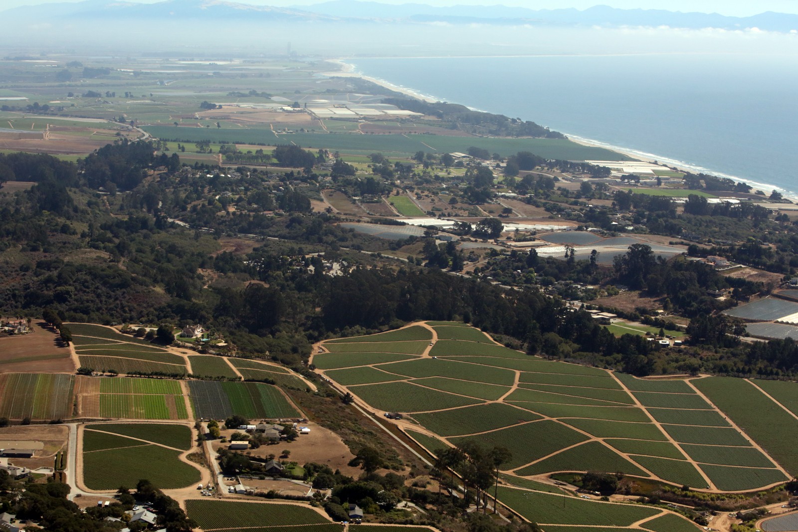 Nonprofit Connection Santa Cruz County | LinkedIn Nonprofit Connection Santa Cruz County | LinkedIn