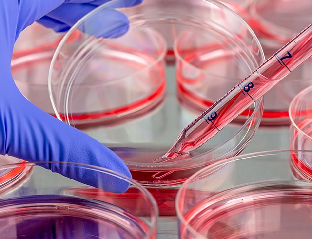 Creative BioMart | LinkedIn Creative BioMart | LinkedIn