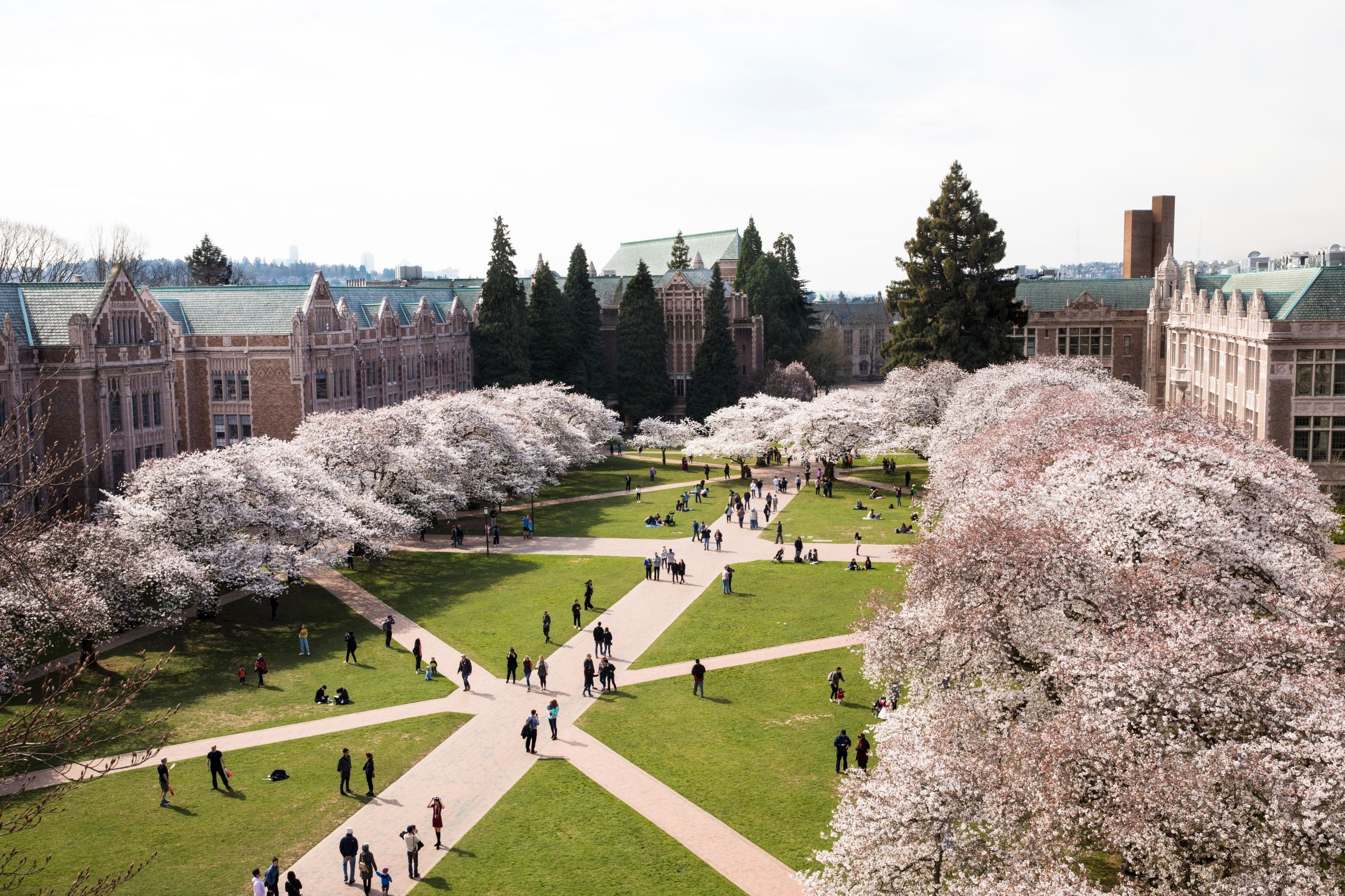 University Of Washington Engineering Acceptance Rate – College Learners University Of Washington Engineering Acceptance Rate – College Learners