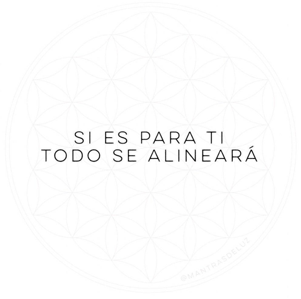 Paula Andrea Diaz Rodriguez on LinkedIn: 🫶🏾 Paula Andrea Diaz Rodriguez on LinkedIn: 🫶🏾