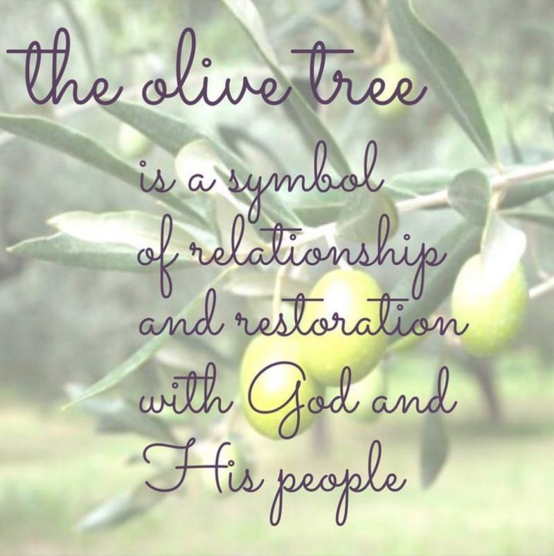 Toni Riley on LinkedIn: Check out my new page for Olive Grove Therapy! Toni Riley on LinkedIn: Check out my new page for Olive Grove Therapy!