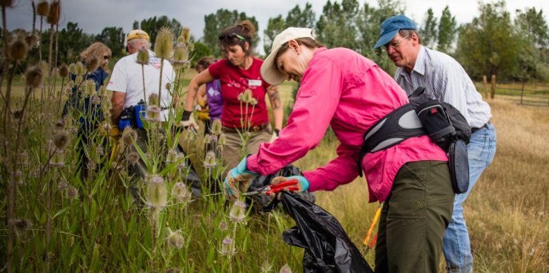 Community Foundation Boulder County on LinkedIn: Support Community ... Community Foundation Boulder County on LinkedIn: Support Community ...