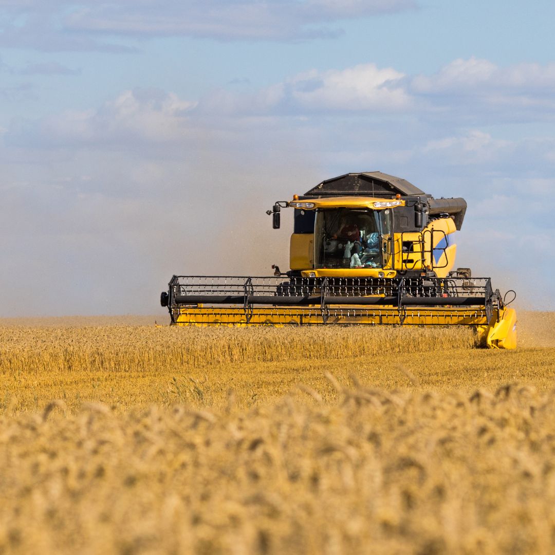 Farmer's Business Network, Inc. on LinkedIn: Take control of your crop ... Farmer's Business Network, Inc. on LinkedIn: Take control of your crop ...