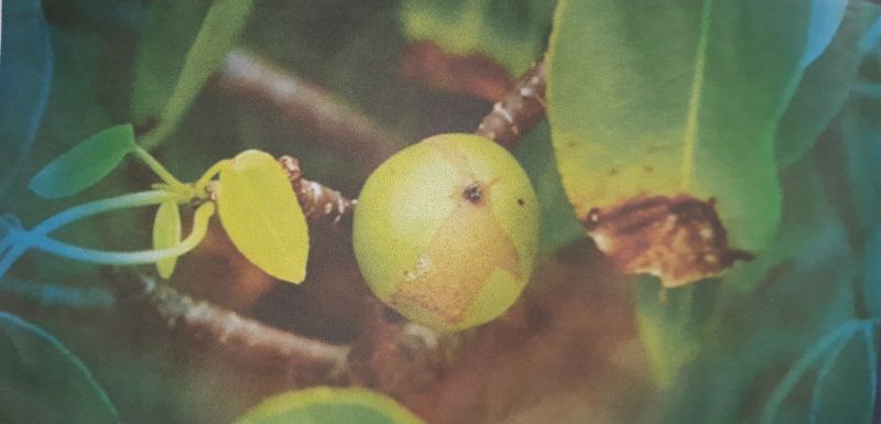 Phil Matthews on LinkedIn: #trees Phil Matthews on LinkedIn: #trees