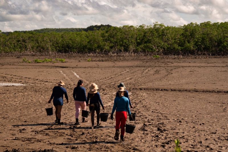 Eden Reforestation Projects på LinkedIn: #EdenReforestationProjects Eden Reforestation Projects på LinkedIn: #EdenReforestationProjects