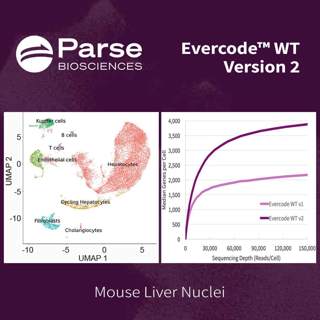 Parse Biosciences on LinkedIn: #singlecell #rnaseq Parse Biosciences on LinkedIn: #singlecell #rnaseq