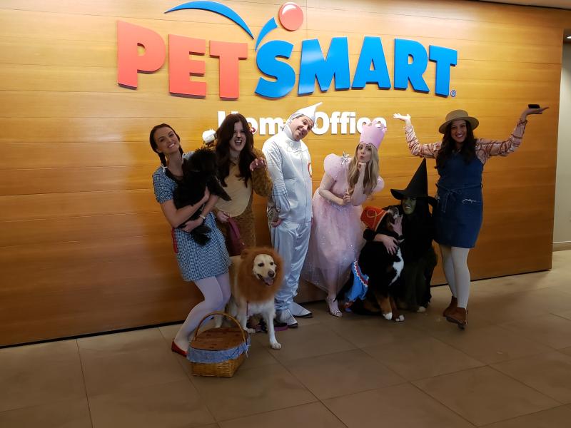 Kathleen Klein, PHR on LinkedIn: #lifeatpetsmart Kathleen Klein, PHR on LinkedIn: #lifeatpetsmart