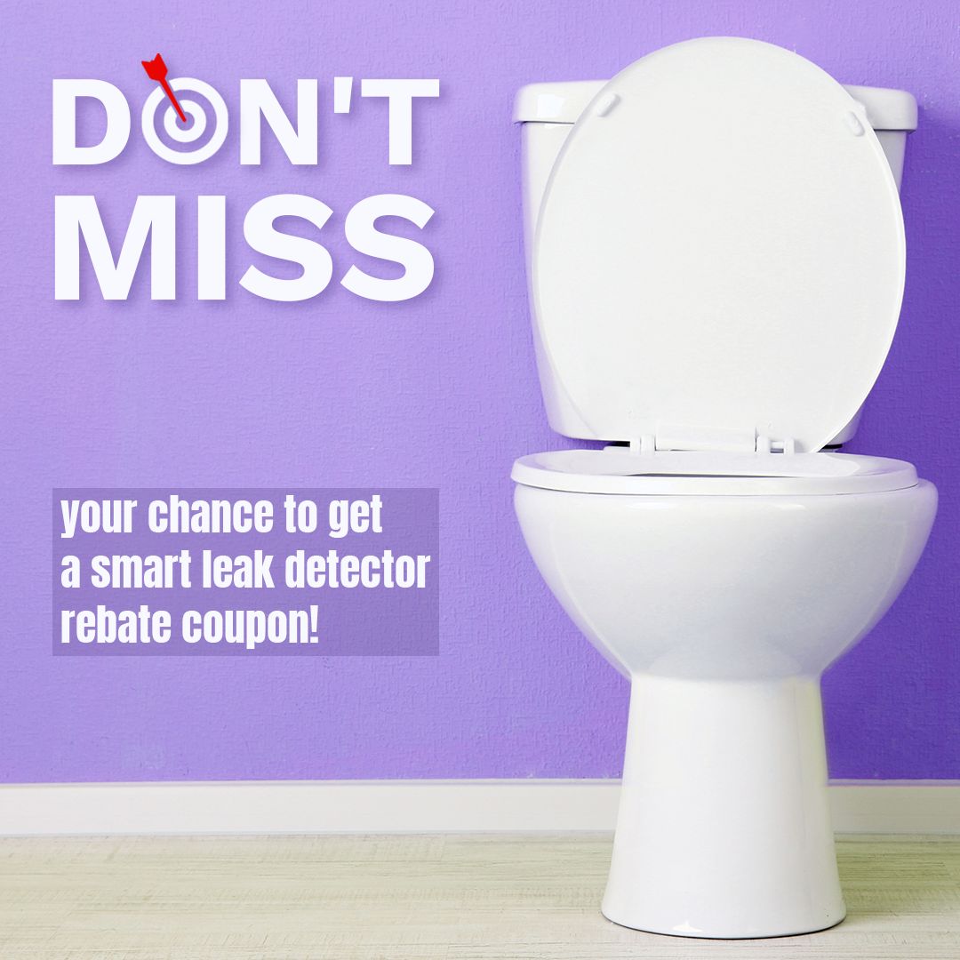 Southern Nevada Water Authority on LinkedIn: It's World Toilet Day! 🚽 ... Southern Nevada Water Authority on LinkedIn: It's World Toilet Day! 🚽 ...