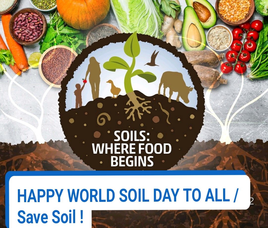 Aditya Kumar S. on LinkedIn: Happy World Soil Day : Theme of the Year ... Aditya Kumar S. on LinkedIn: Happy World Soil Day : Theme of the Year ...