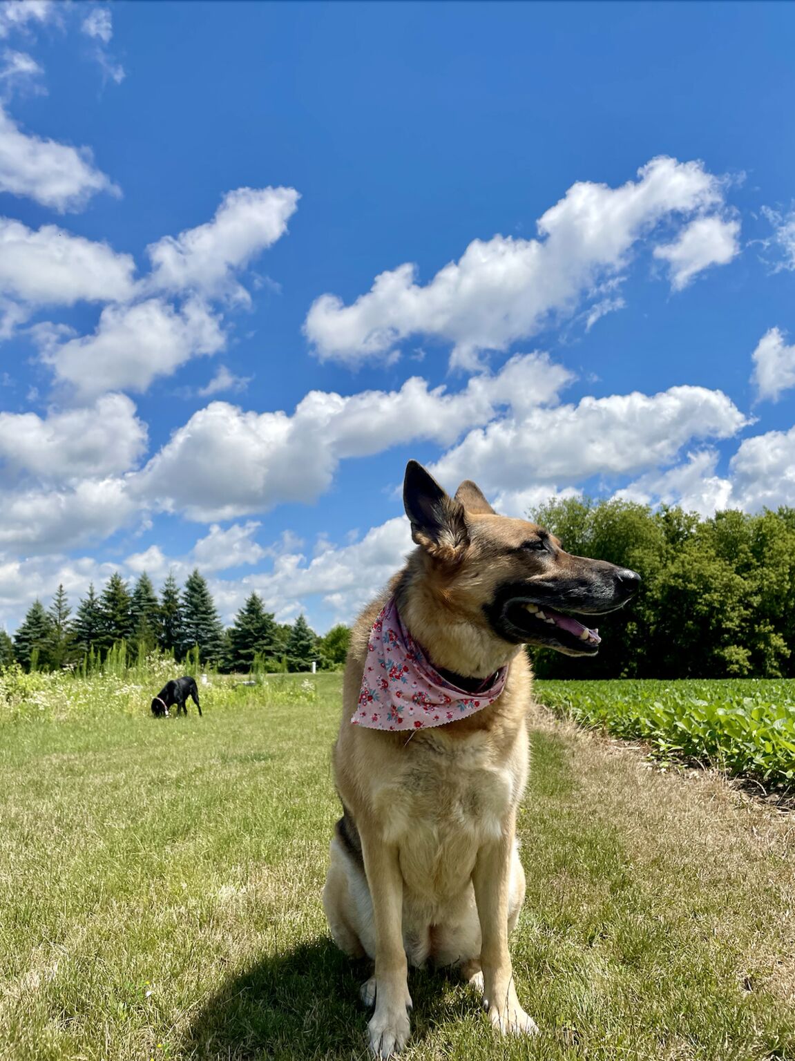 Karissa Cooper on LinkedIn: It's been awhile since I've posted on ... Karissa Cooper on LinkedIn: It's been awhile since I've posted on ...